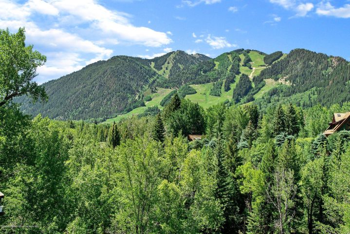 364 Willoughby Way, Aspen CO Homes for Sale | Tim Estin